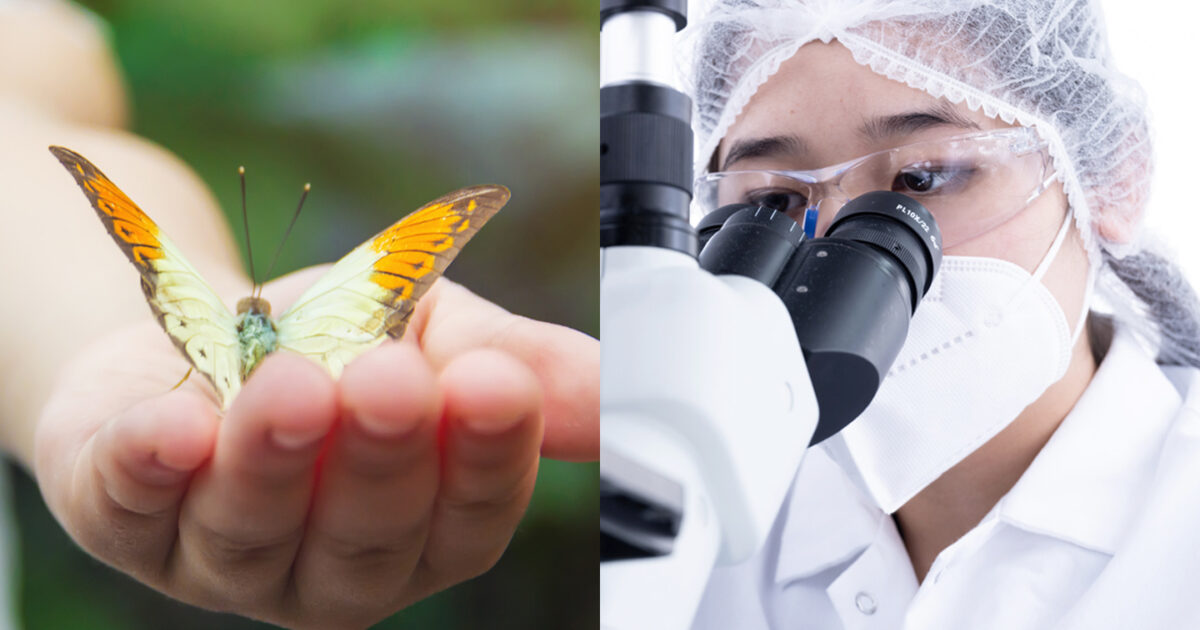 Home - Akron Biotech